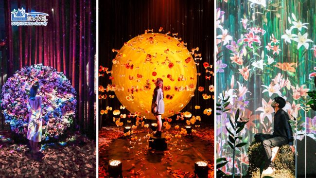 Khám Phá Light Art Museum & Balloon Garden Tại Thái Lan - Phong Cách Việt Travel